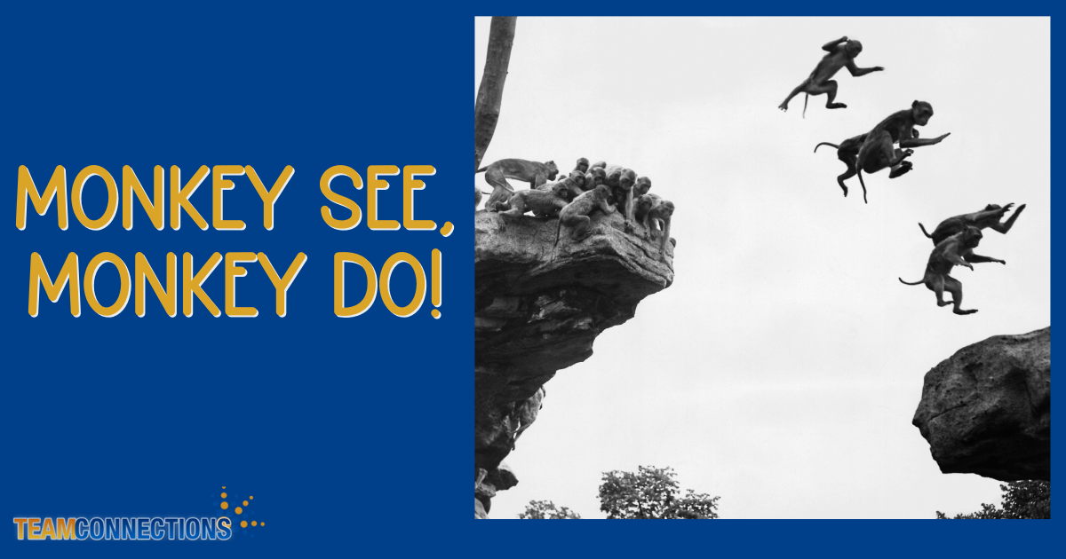 Monkey See, Monkey Do! – Team Connections